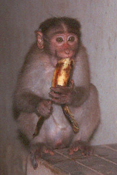 Permutations With Restriction | Brilliant Math & Science Wiki