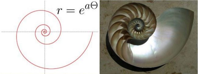 The Discovery Of The Number e | Brilliant Math & Science Wiki